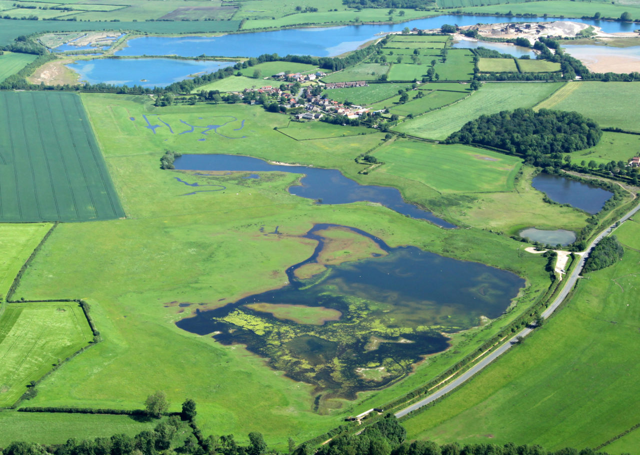 Nosterfield Local Nature Reserve - Harrogate & District Naturalists Society
