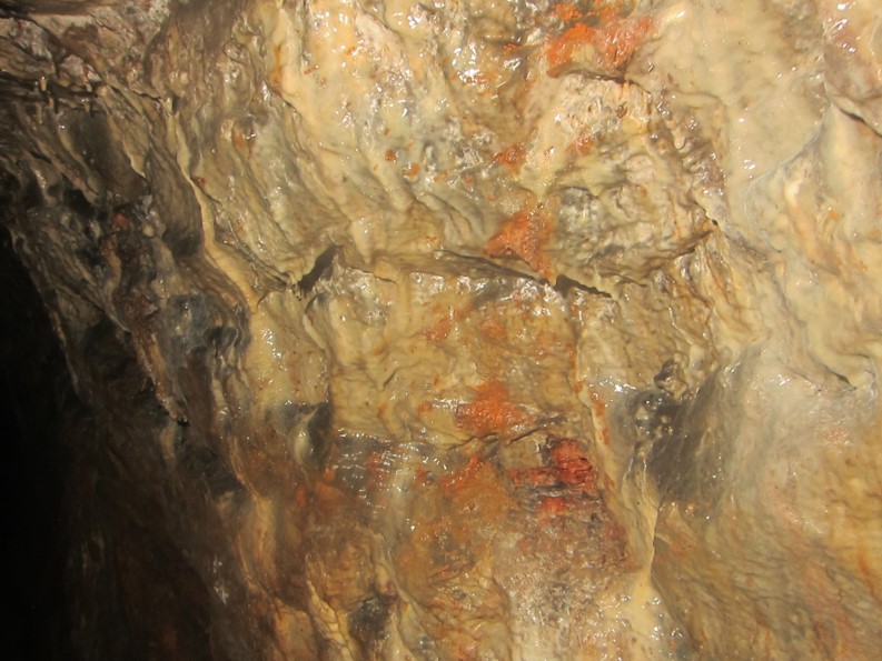 Gillfield Mine visit - Harrogate & District Naturalists Society