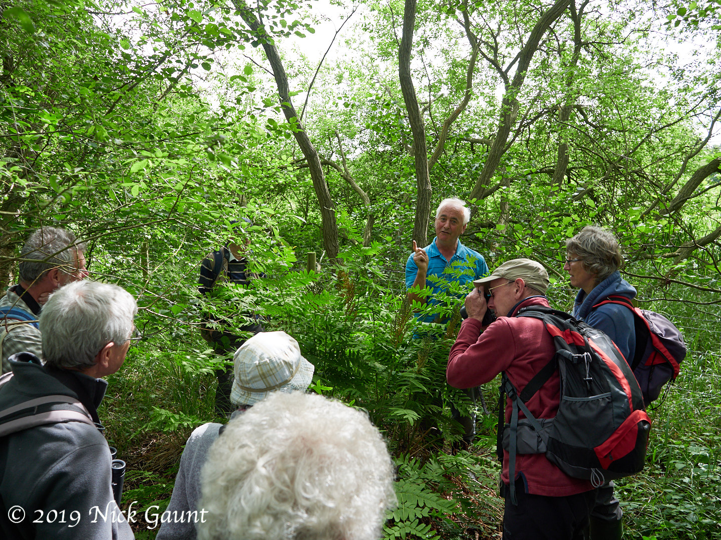 Askham Bog Nature Reserve, Tuesday 18th June 2019 - Harrogate ...