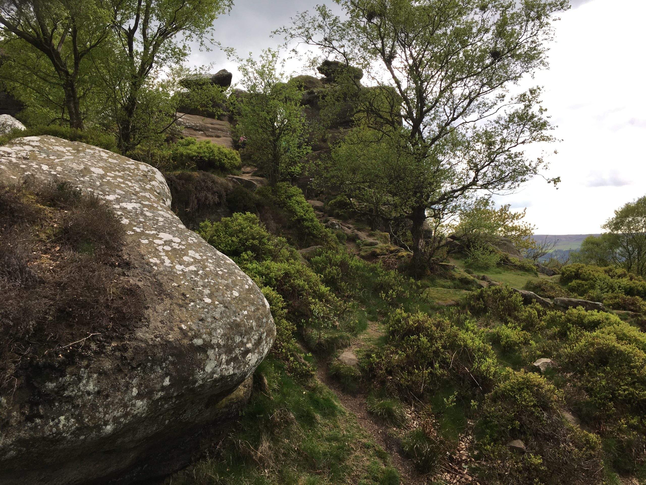 Brimham Rocks - Harrogate & District Naturalists Society