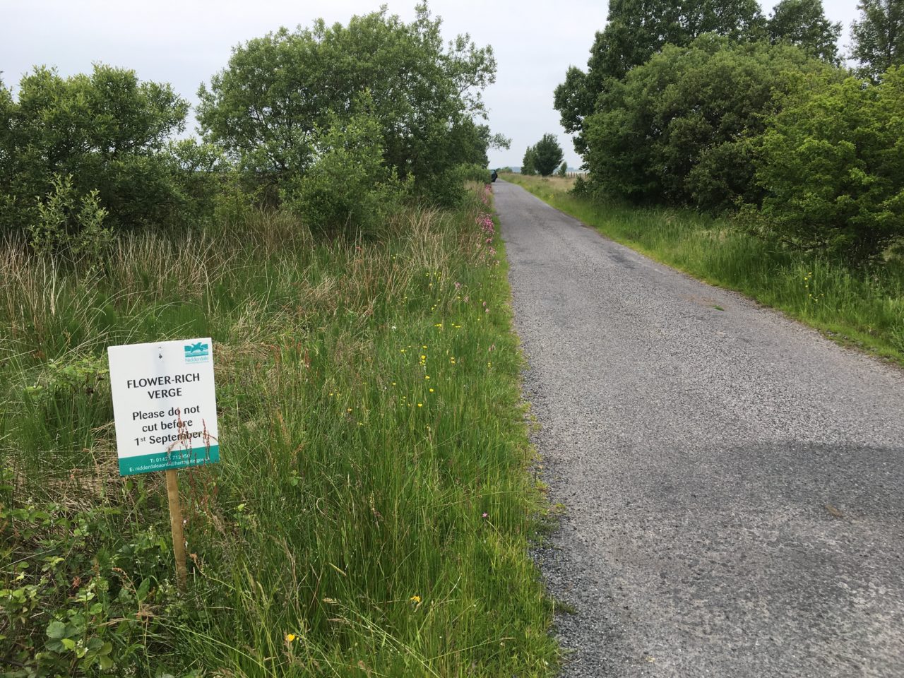 Brown Bank Road Verge - Harrogate & District Naturalists Society