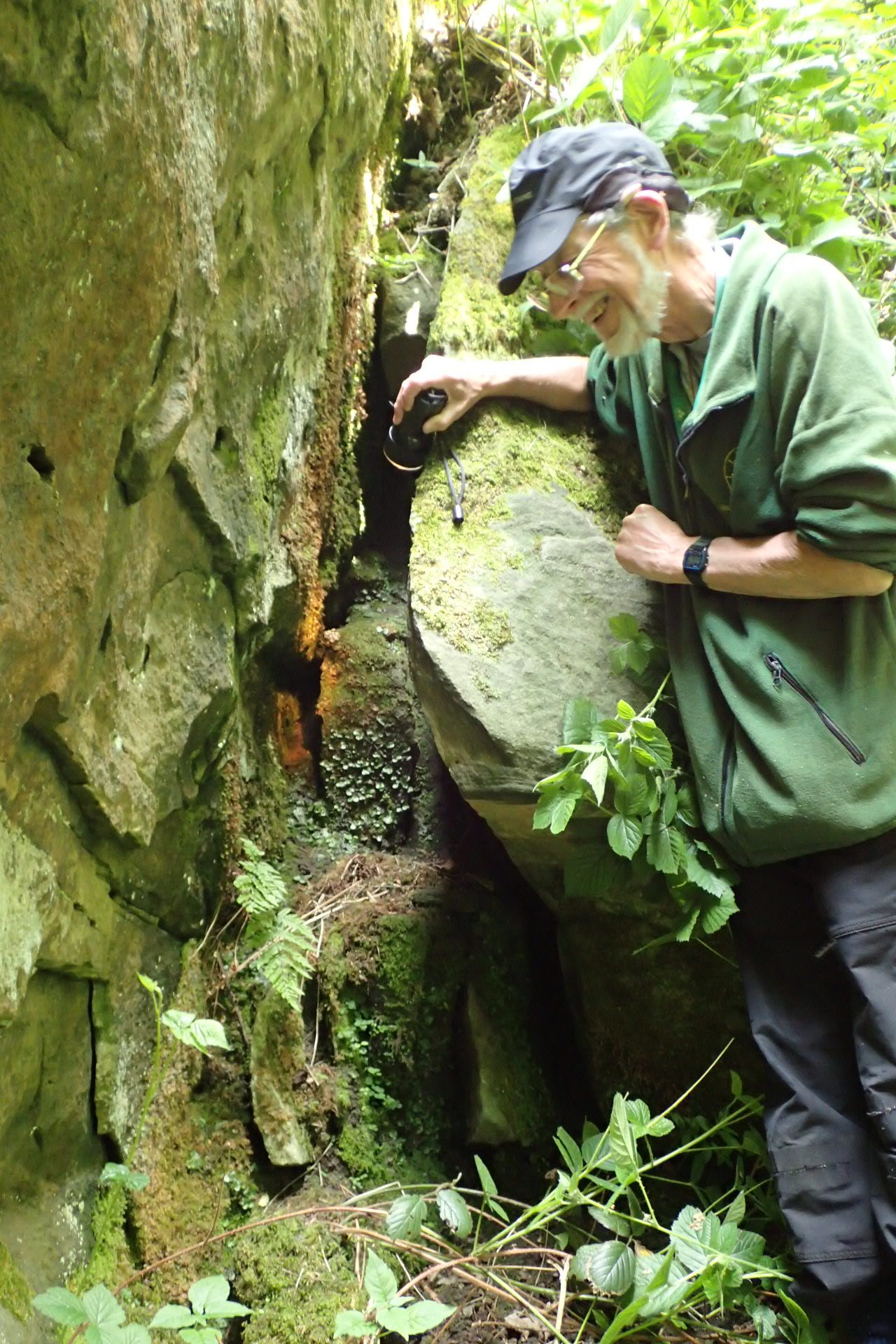 Middleton Wood - Harrogate & District Naturalists Society