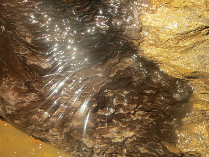 Gillfield Mine visit - Harrogate & District Naturalists Society