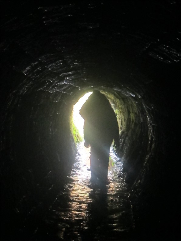 Gillfield Mine visit - Harrogate & District Naturalists Society