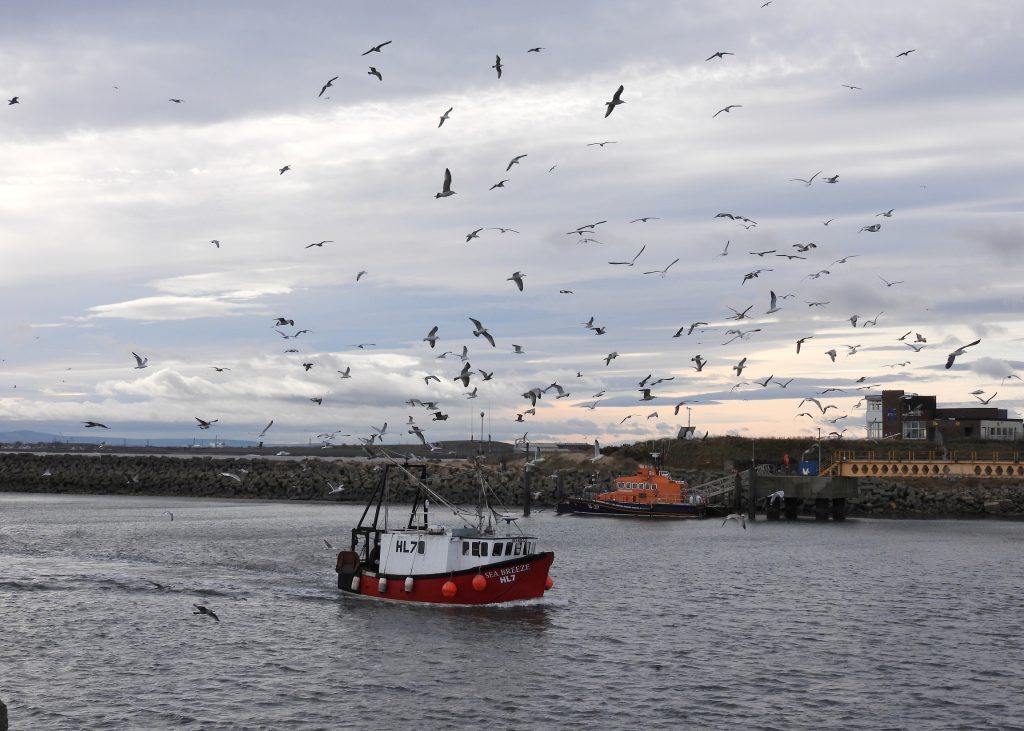 Hartlepool, Newburn Bridge and Seaton Snook - Harrogate & District ...