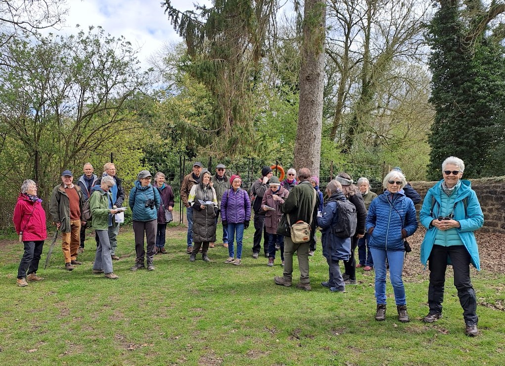 Ancient Trees of Ripley Park - Harrogate & District Naturalists Society