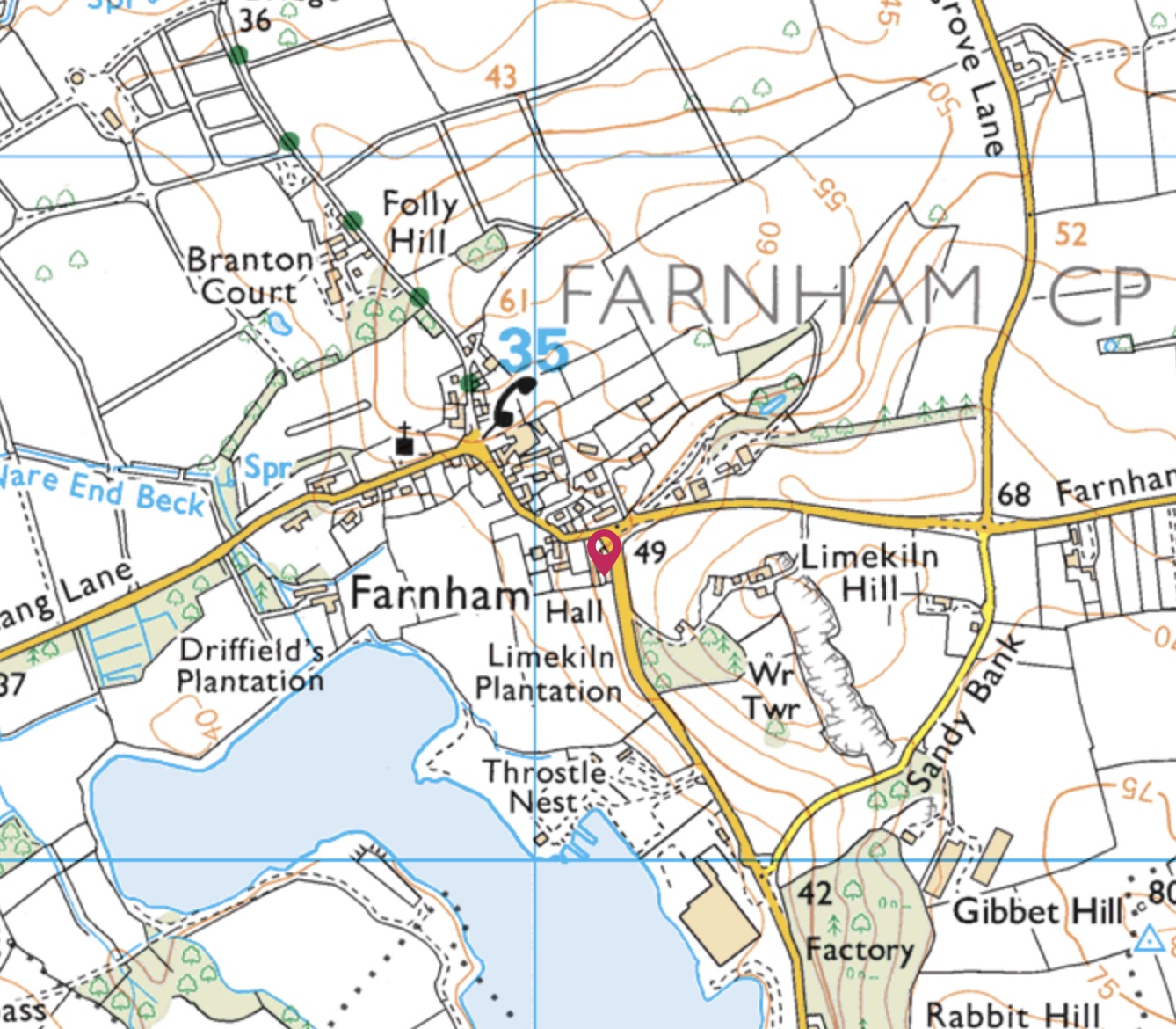 Farnham Road verge - Harrogate & District Naturalists Society