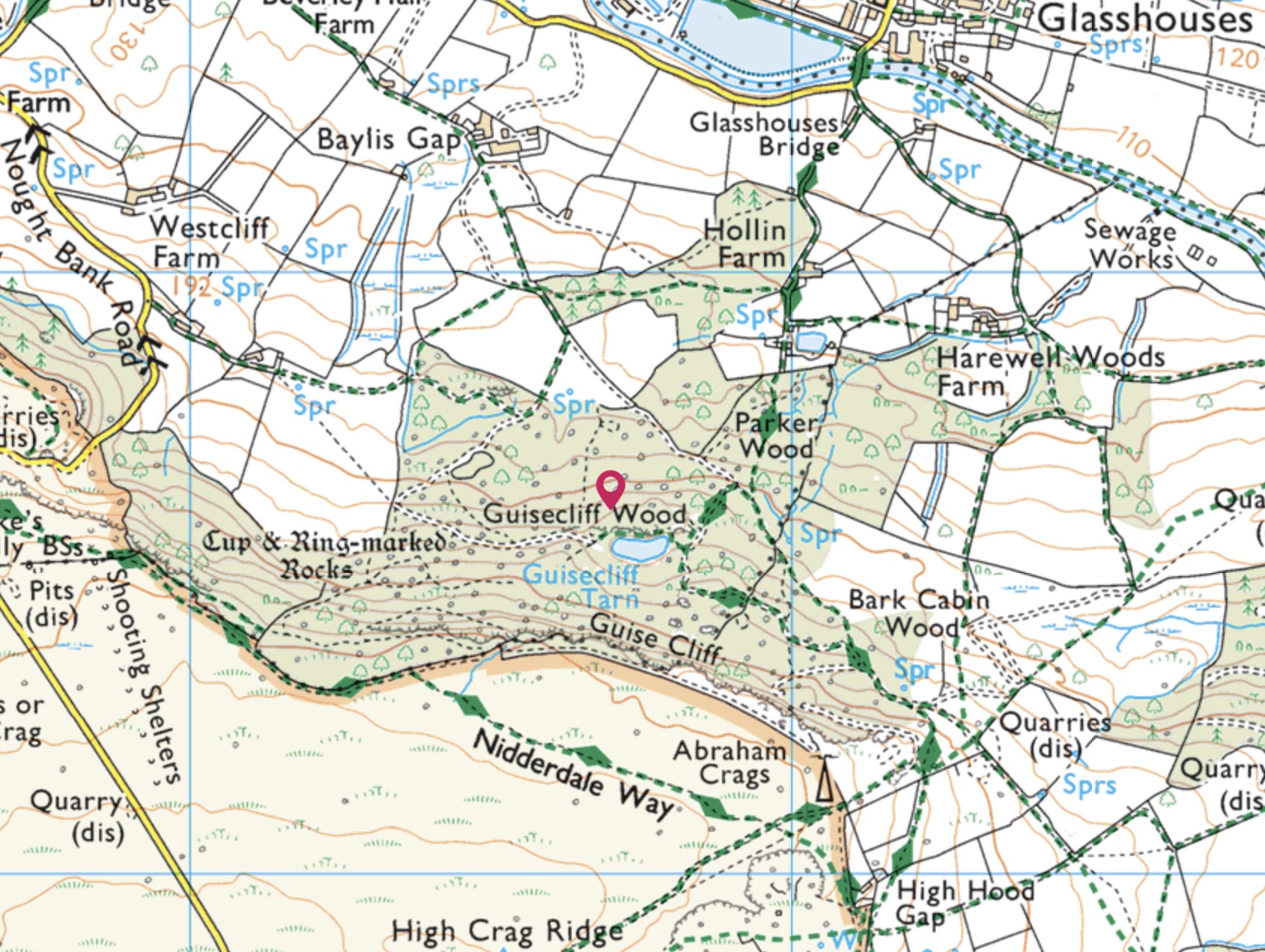 Guisecliff Wood - Harrogate & District Naturalists Society