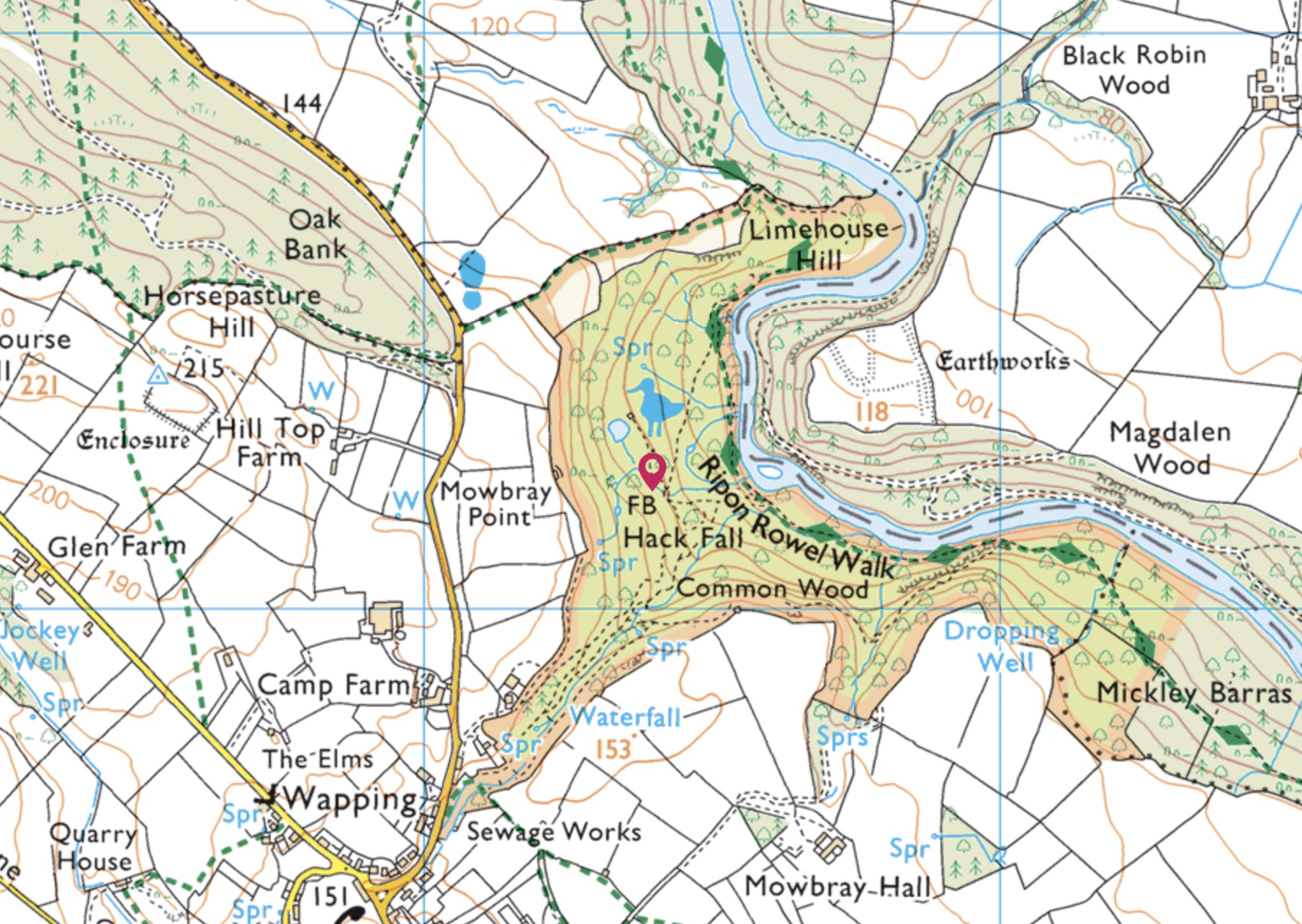 Hackfall Woods - Harrogate & District Naturalists Society