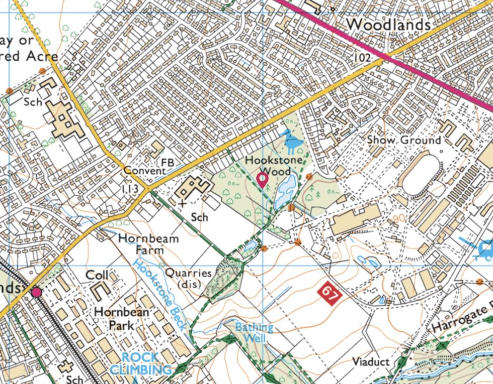 Hookstone Wood Local Nature Reserve - Harrogate & District Naturalists ...