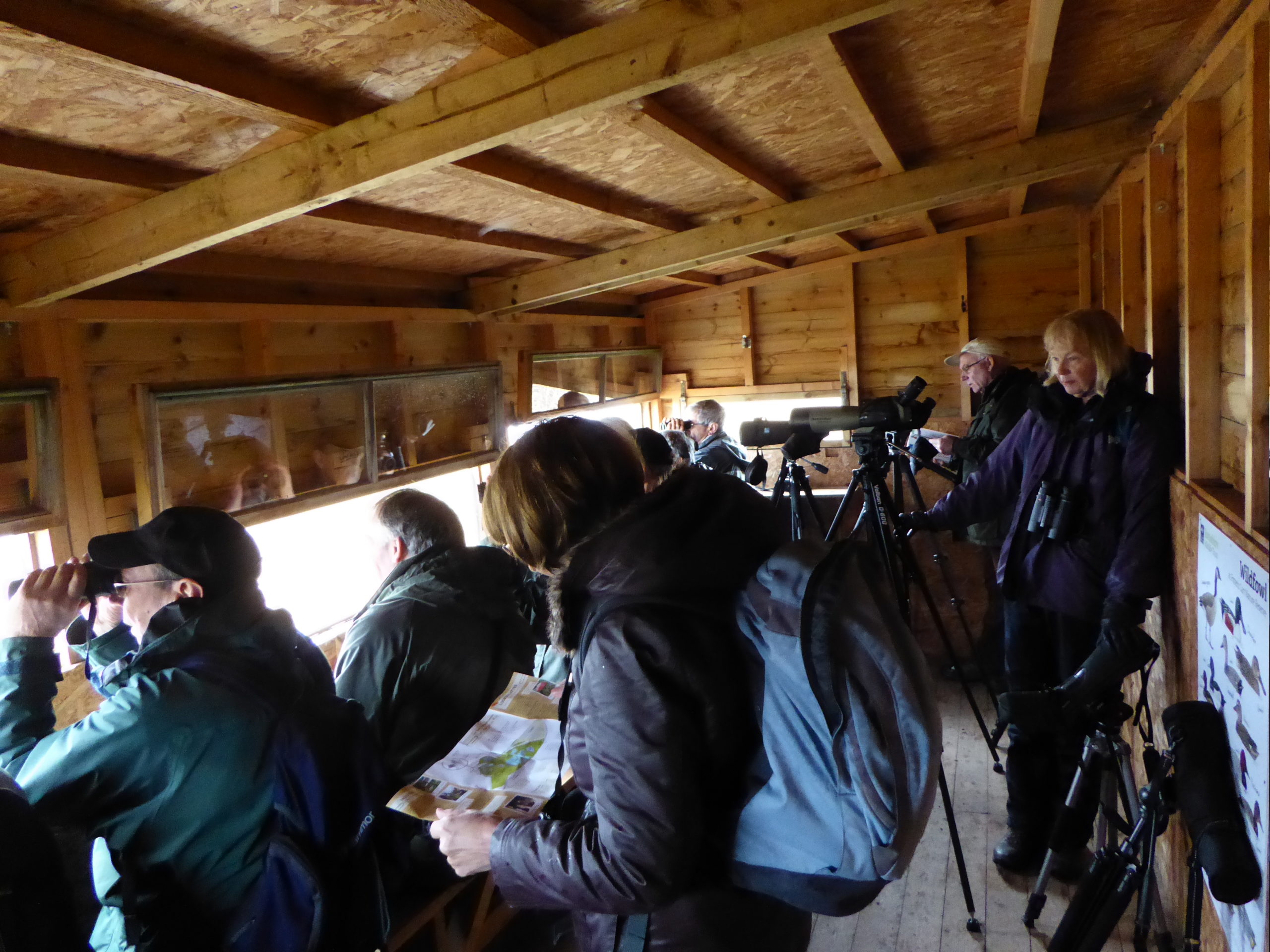Field Trip to Potteric Carr and Hatfield Moors – Tuesday 12th April ...