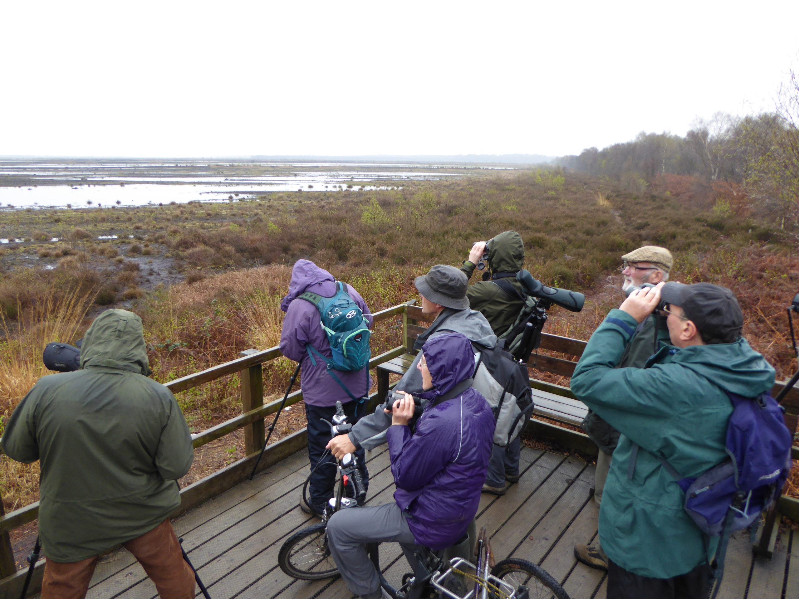 Field Trip to Potteric Carr and Hatfield Moors – Tuesday 12th April ...