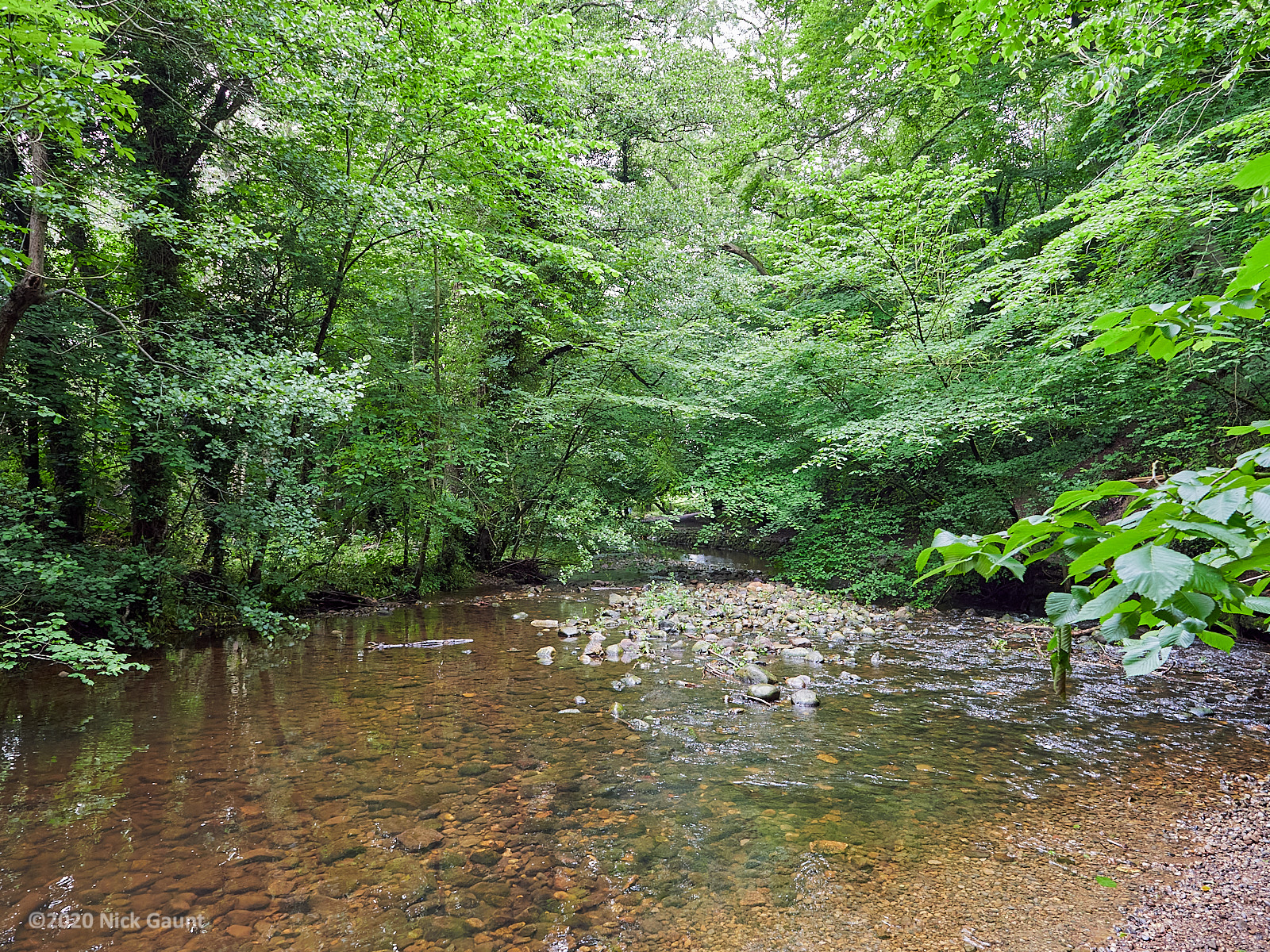 Hell Wath Local Nature Reserve - Harrogate & District Naturalists Society