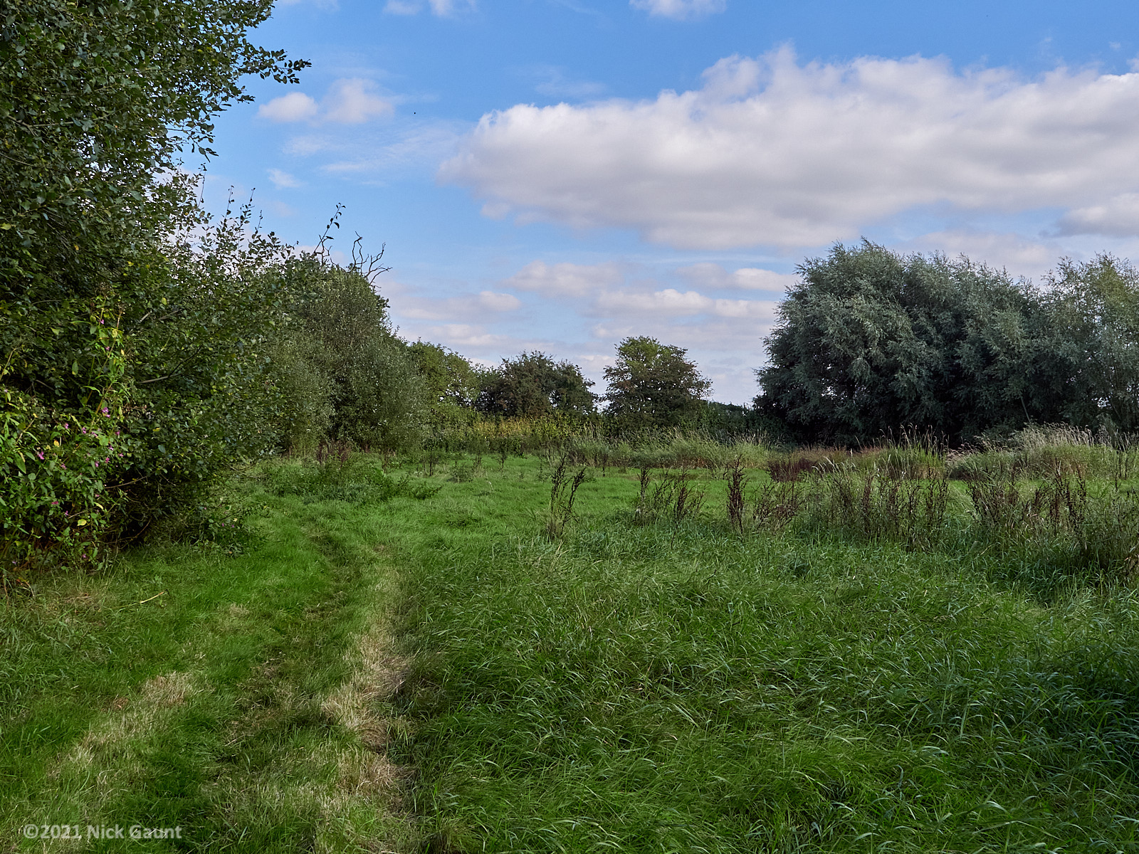 Sylvan Nature Reserve - Harrogate & District Naturalists Society