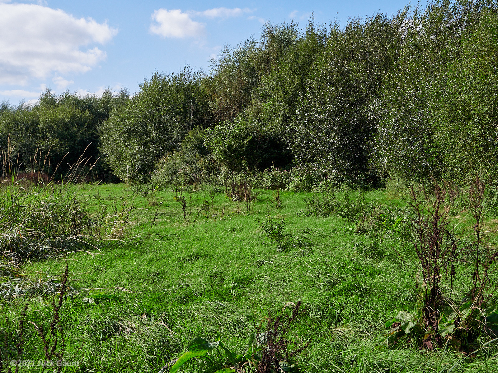 Sylvan Nature Reserve - Harrogate & District Naturalists Society