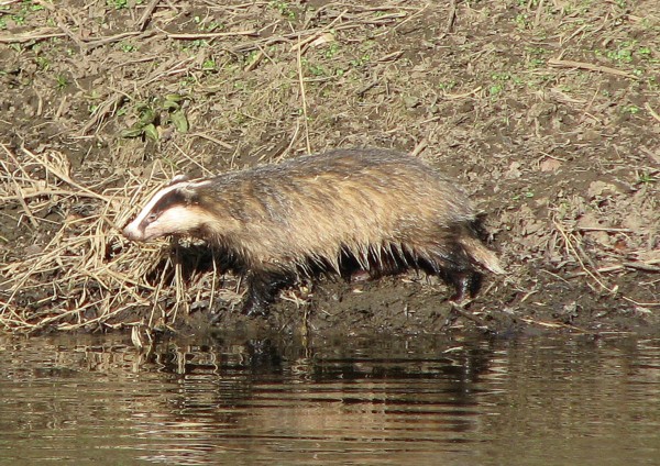 Photos - Harrogate & District Naturalists Society